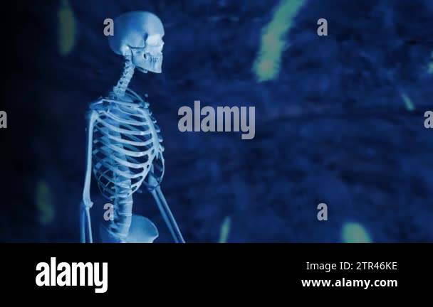 rotating skeleton render 3D Stock Video Footage - Alamy
