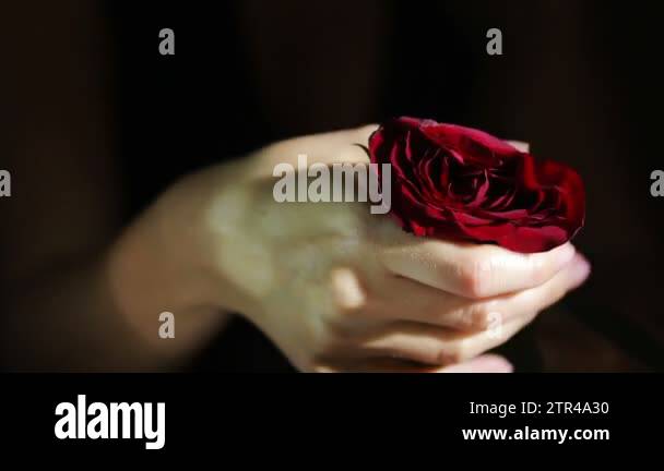 Beauty girl rose petals Stock Videos & Footage - HD and 4K Video Clips ...