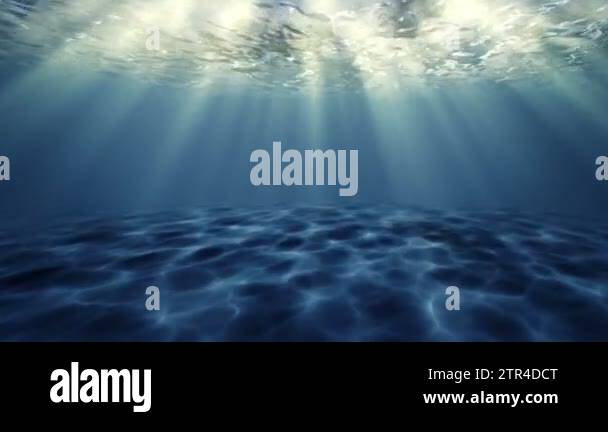 Ocean bottom, view beneath surface Stock Video Footage - Alamy