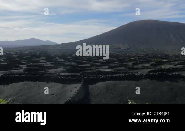 Vine land Stock Videos & Footage - HD and 4K Video Clips - Alamy