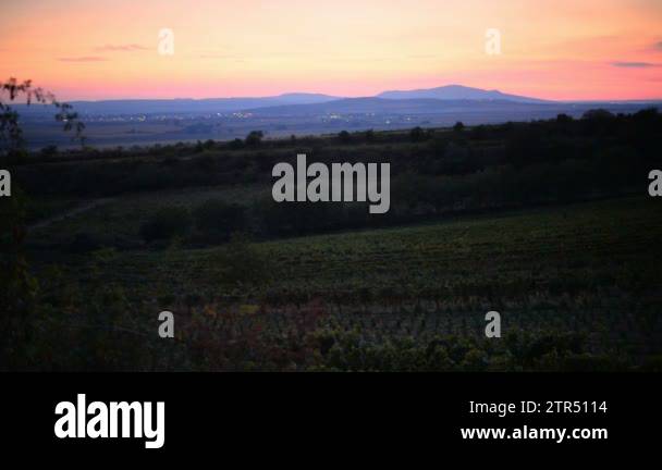 Moravia vineyard Stock Videos & Footage - HD and 4K Video Clips - Alamy