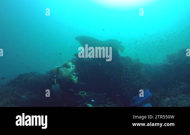 INDIAN OCEAN, MALDIVES, ASIA - MARCH 2018: Female scuba diver look at ...
