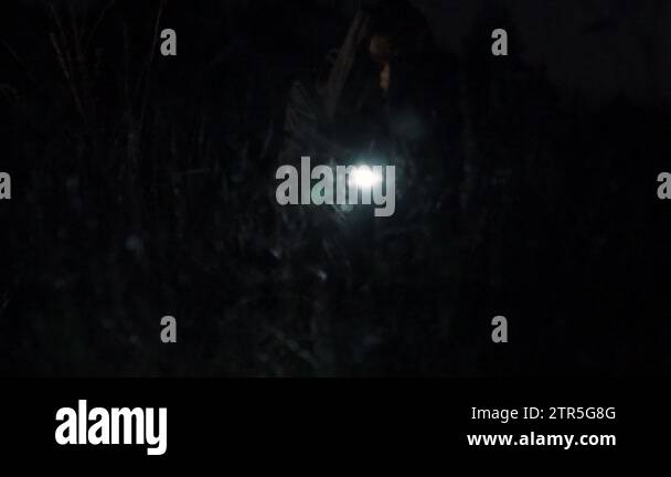 Death lantern Stock Videos & Footage - HD and 4K Video Clips - Alamy