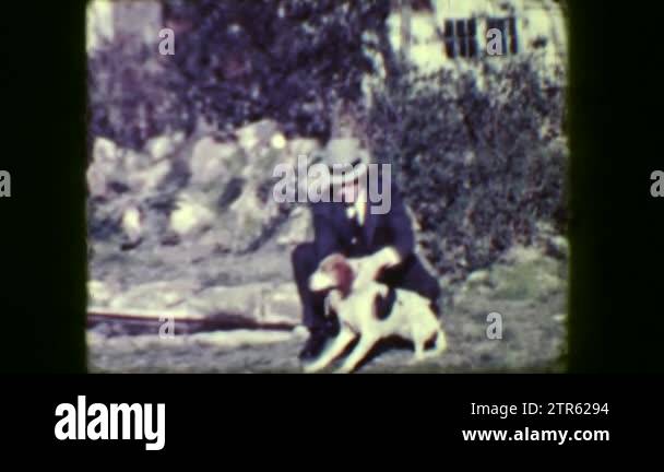 Man and hunting dog Stock Videos & Footage - HD and 4K Video Clips - Alamy