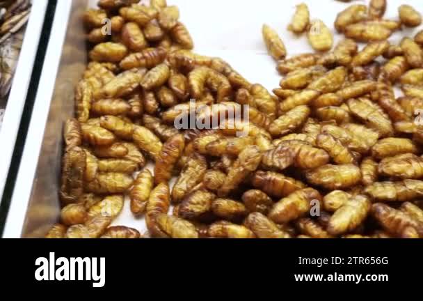 Thailand street food, Fried larva and worms, deep fried insect super ...