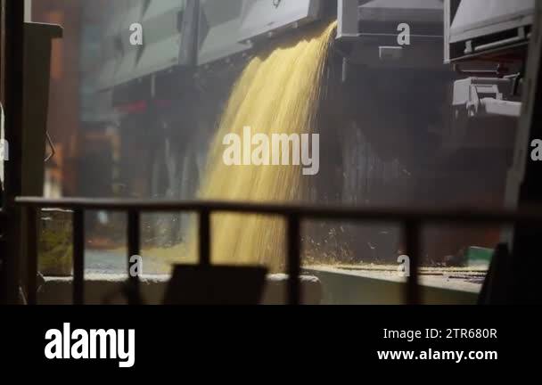 Unloading grain trucks at elevator on elevating hydraulic platform ...