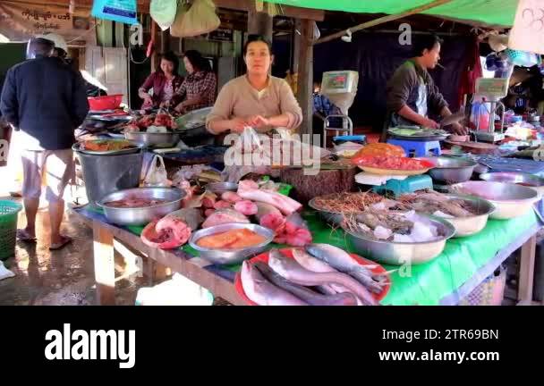 Southeast asia myanmar burma fish Stock Videos & Footage - HD and 4K ...