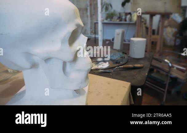 drawing a human skull. The artist draws a sketch of a human skull, from ...