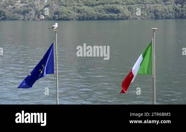 Use flags Stock Videos & Footage - HD and 4K Video Clips - Alamy