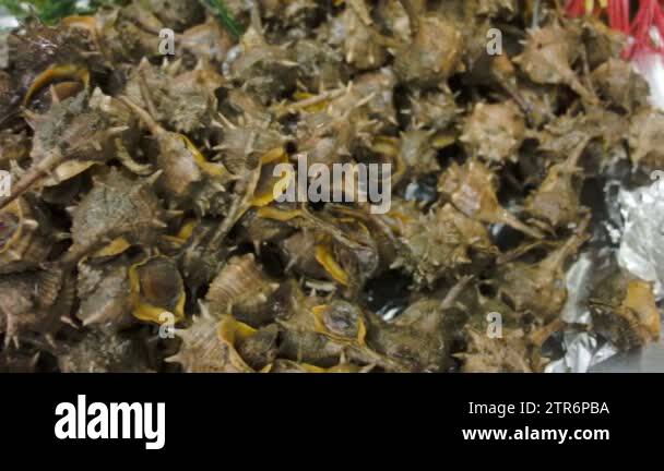 Spider market Stock Videos & Footage - HD and 4K Video Clips - Alamy