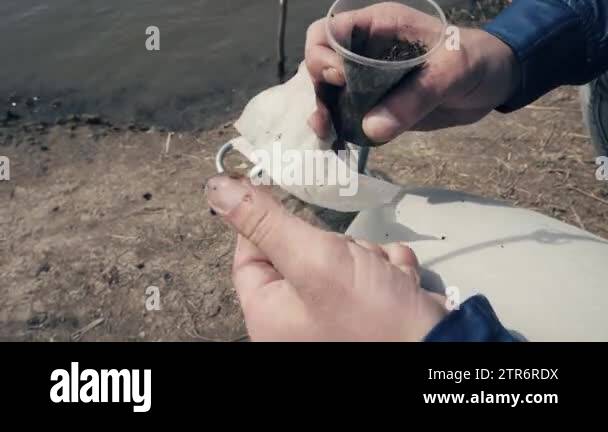 Earthworm in hands man Stock Videos & Footage - HD and 4K Video Clips ...