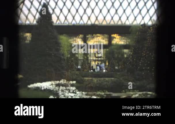 Winter garden display Stock Videos & Footage - HD and 4K Video Clips ...