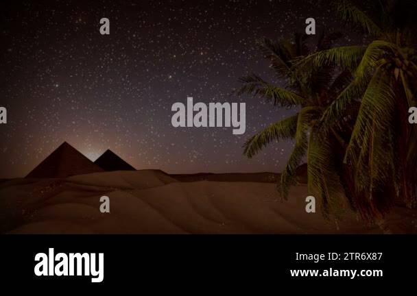 Seamless animation desert sand storm at night with palm trees, shining ...