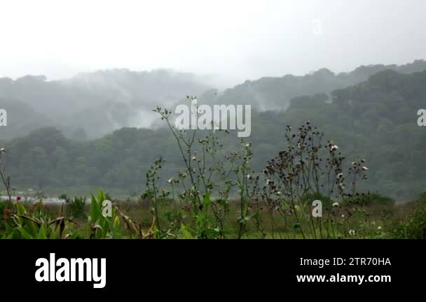 Pura gubug temple Stock Videos & Footage - HD and 4K Video Clips - Alamy