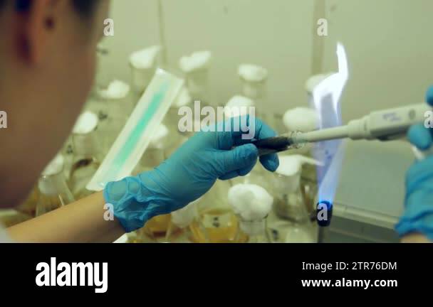 Aseptic lab Stock Videos & Footage - HD and 4K Video Clips - Alamy