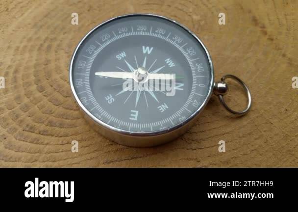 Tree compass Stock Videos & Footage - HD and 4K Video Clips - Alamy