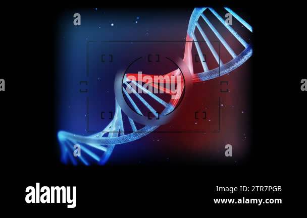 Dna under microscope Stock Videos & Footage - HD and 4K Video Clips - Alamy