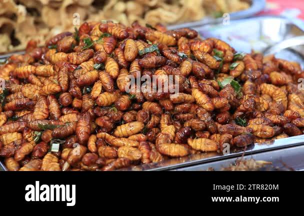 Fried larva and silk worms Stock Videos & Footage - HD and 4K Video ...