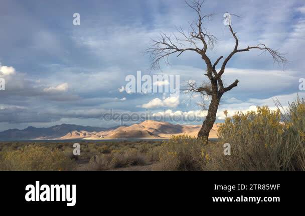 Washoe indian Stock Videos & Footage - HD and 4K Video Clips - Alamy