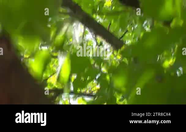 High shutter Stock Videos & Footage - HD and 4K Video Clips - Alamy