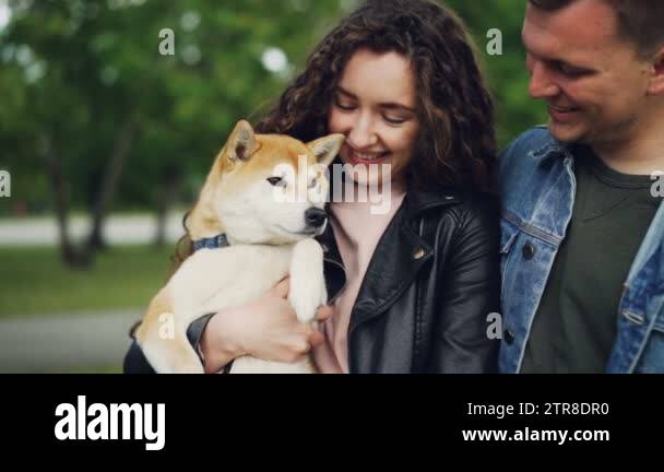 Slow motion of happy couple holding beautiful pedigree dog, looking at ...