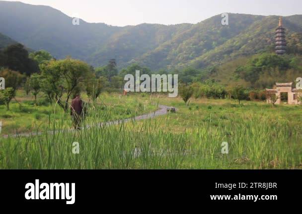 Tiantong temple Stock Videos & Footage - HD and 4K Video Clips - Alamy
