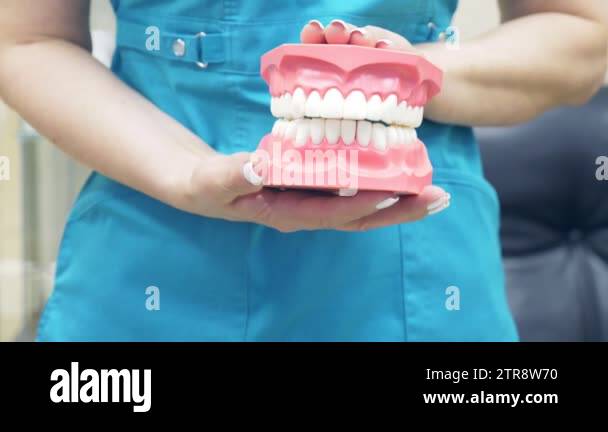 The dentist shows the structure of the mouth with the help of a model of the human jaw. 4k, slow ...