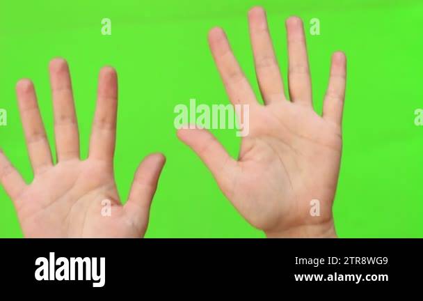 Hands up close-up. Dancing movements. Wave. Hand Gesture. Isolated ...