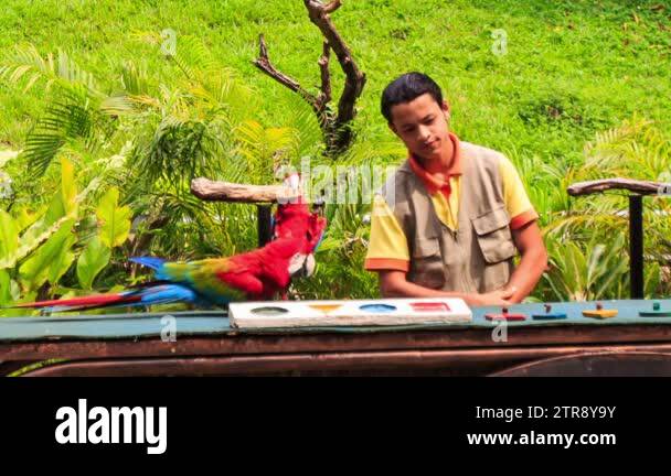 Special figures Stock Videos & Footage - HD and 4K Video Clips - Alamy