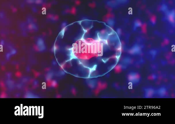 Full body structure Stock Videos & Footage - HD and 4K Video Clips - Alamy