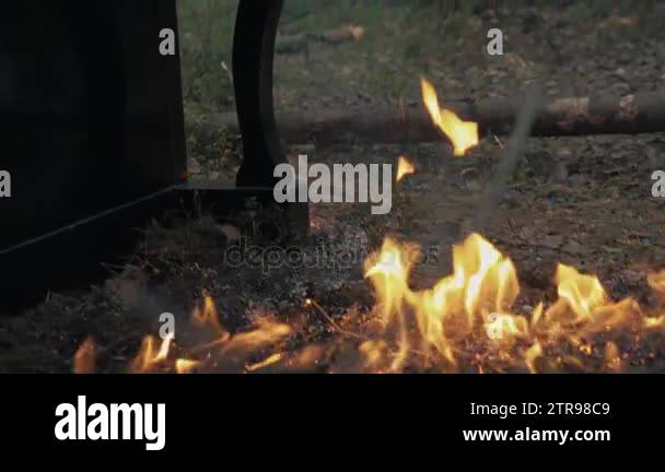 Flammable tree Stock Videos & Footage - HD and 4K Video Clips - Alamy