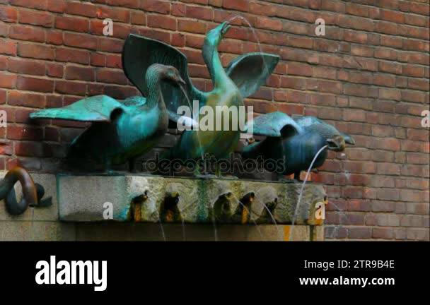 German geese Stock Videos & Footage - HD and 4K Video Clips - Alamy