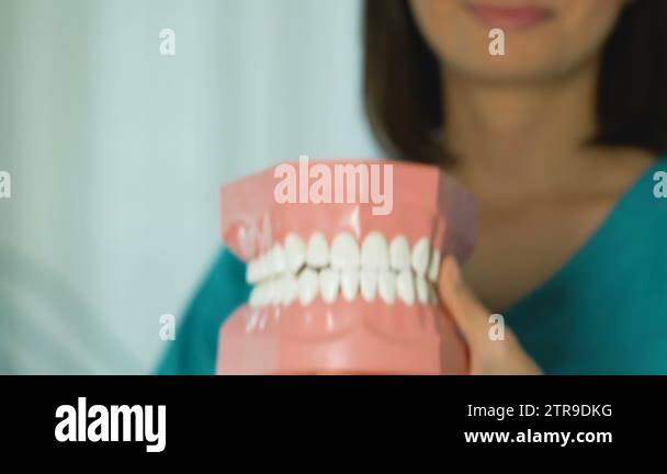 Dentist showing jaw model, giving lesson on proper teeth and oral ...