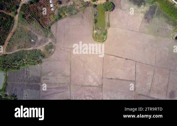 Plantations and gardens Stock Videos & Footage - HD and 4K Video Clips - Alamy