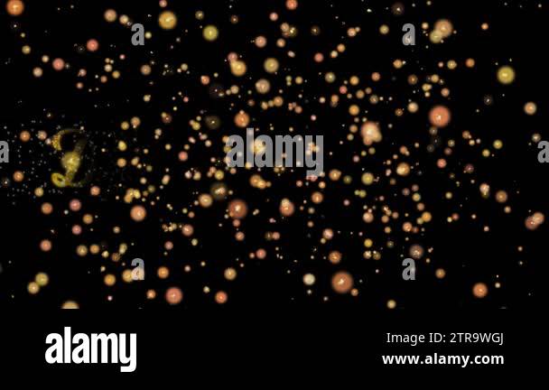 Celebration diamond jubilee Stock Videos & Footage - HD and 4K Video ...