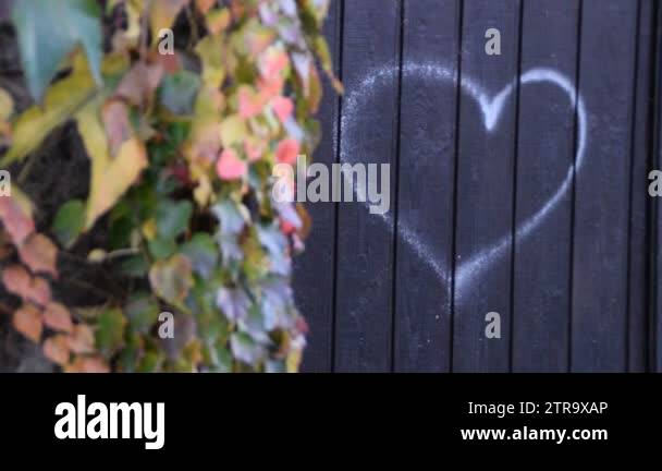 Heart gate Stock Videos & Footage - HD and 4K Video Clips - Alamy