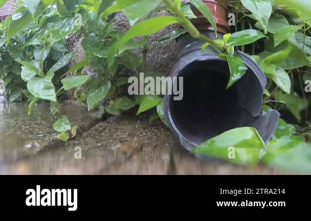 Eaves spout Stock Videos & Footage - HD and 4K Video Clips - Alamy