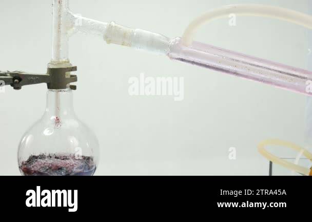 Perfume distillation Stock Videos & Footage - HD and 4K Video Clips - Alamy