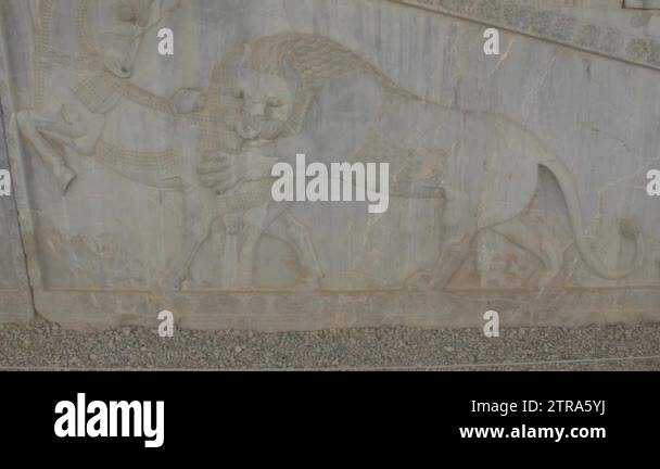 Iranian lion Stock Videos & Footage - HD and 4K Video Clips - Alamy