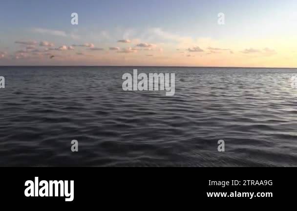 Pacification Stock Videos & Footage - HD and 4K Video Clips - Alamy