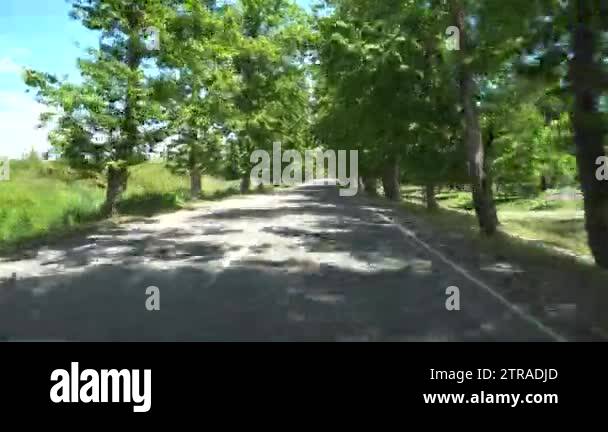Sycamore road Stock Videos & Footage - HD and 4K Video Clips - Alamy