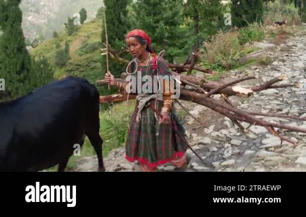 Indigenous porter Stock Videos & Footage - HD and 4K Video Clips - Alamy