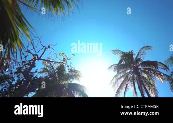 Cuba sun set Stock Videos & Footage - HD and 4K Video Clips - Alamy