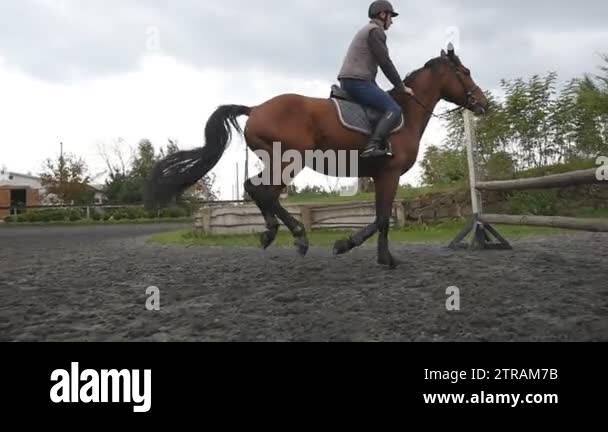 Following to horse is galloping and jumping through a barrier ...