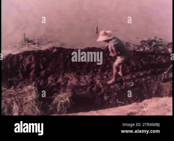 Digging trench Stock Videos & Footage - HD and 4K Video Clips - Alamy