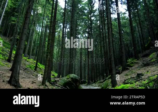 Stone flagged pathway Stock Videos & Footage - HD and 4K Video Clips ...