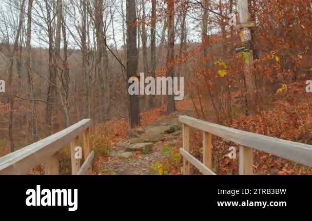 Catskill fall foliage Stock Videos & Footage - HD and 4K Video Clips ...