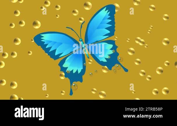 Tropical blue butterfly Stock Videos & Footage - HD and 4K Video Clips ...