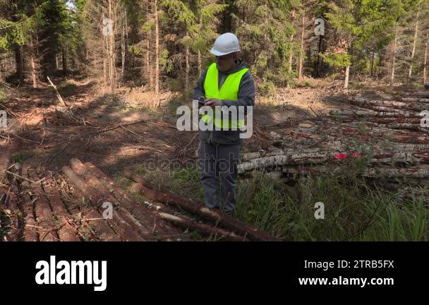Lumberjack reading Stock Videos & Footage - HD and 4K Video Clips - Alamy