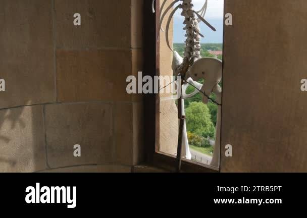 Skeleton Bones in Window of Moszna Castle Tower Legend Eclectic Styled ...